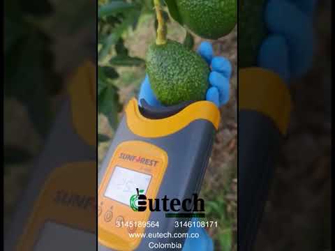 SUNFOREST H-100C Hass Avocado Quality Meter – Precision Fruit Quality Tools